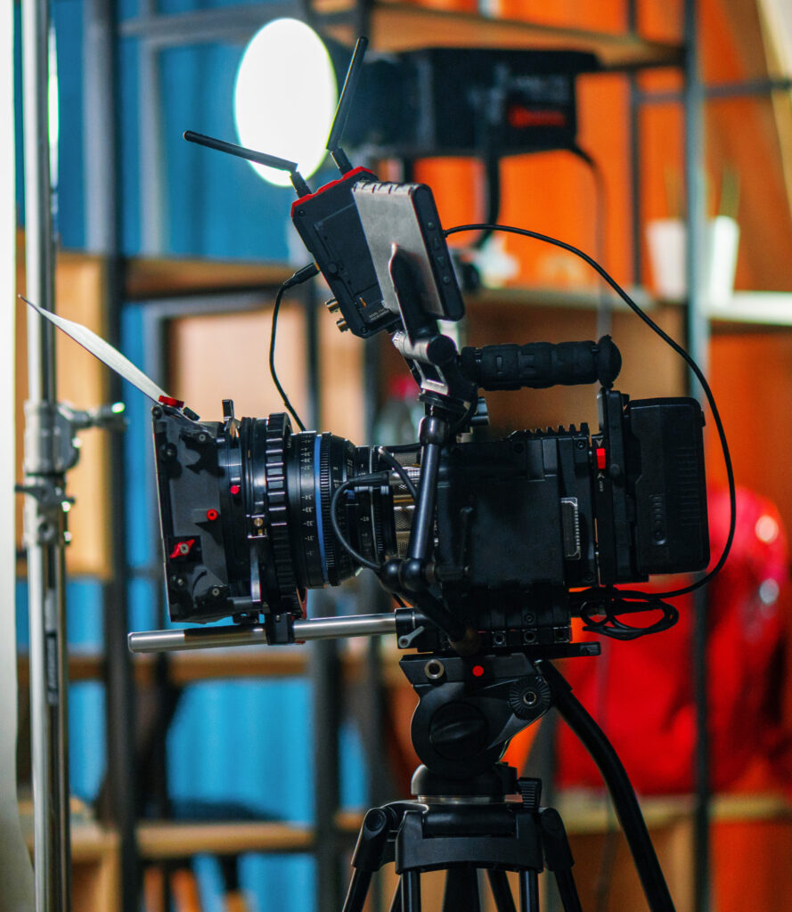 Over ons - Studio Wildfox